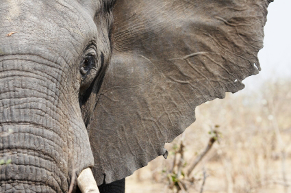 To Hadoop Or Not To Hadoop Thoughtworks