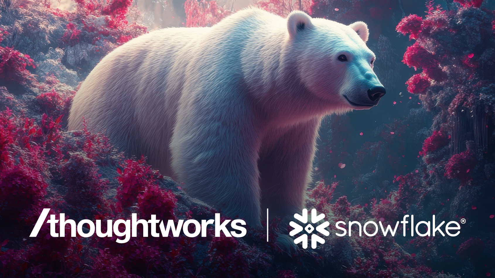 Snowflake | Thoughtworks China