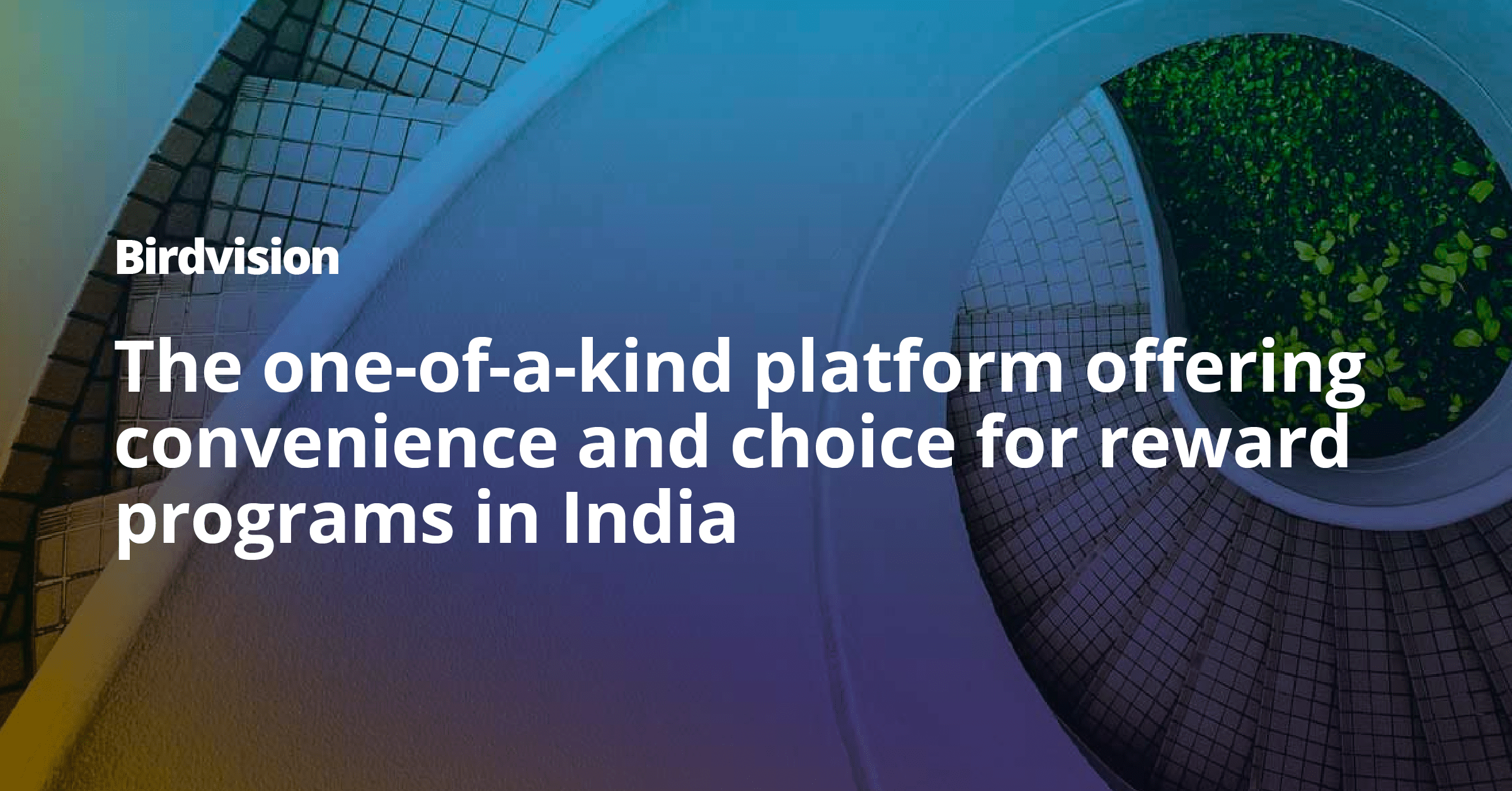 Birdvision Consulting | Thoughtworks