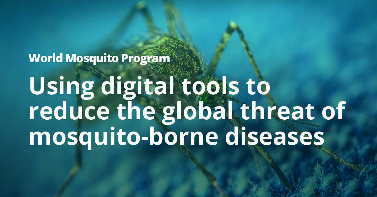 Using digital tools to reduce the global threat of mosquito-borne ...