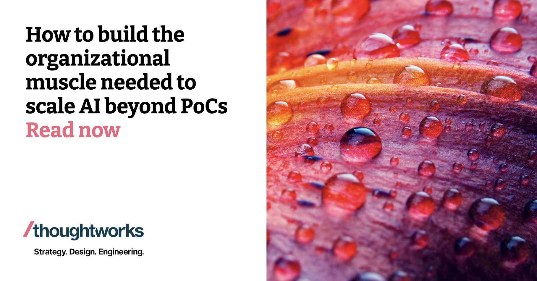 How to build the organizational muscle needed to scale AI beyond PoCs ...