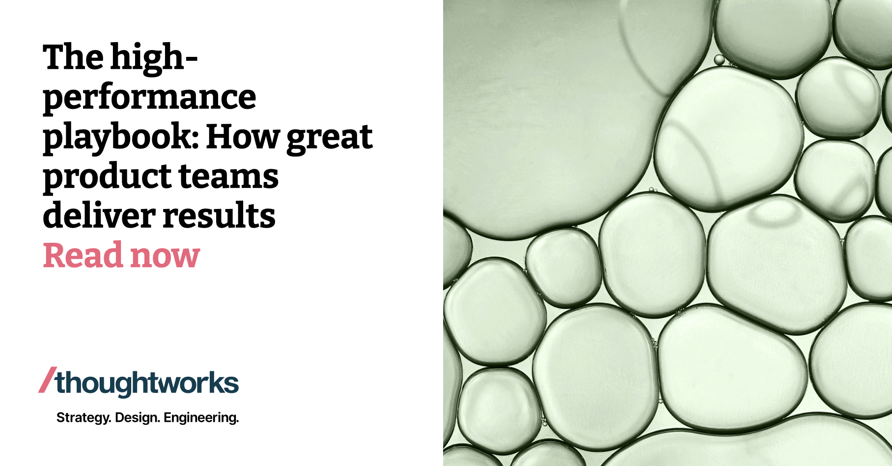The high-performance playbook: How great product teams deliver results | Thoughtworks