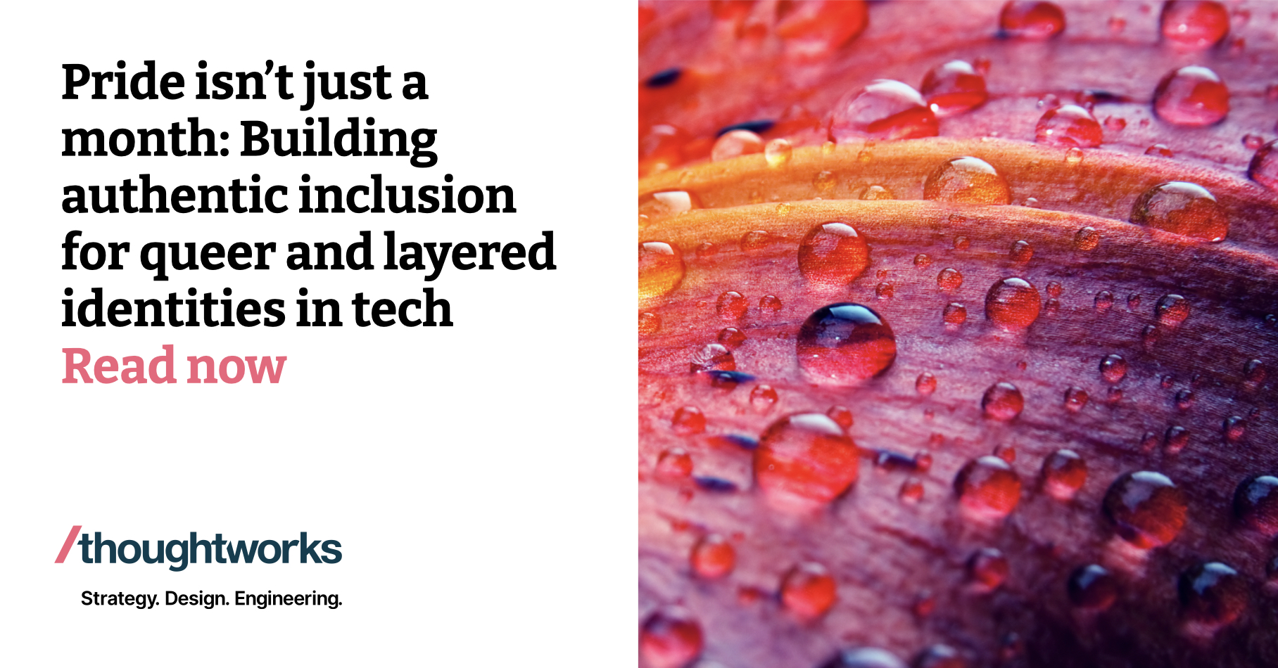 Pride isn’t just a month: Building authentic inclusion for queer and ...