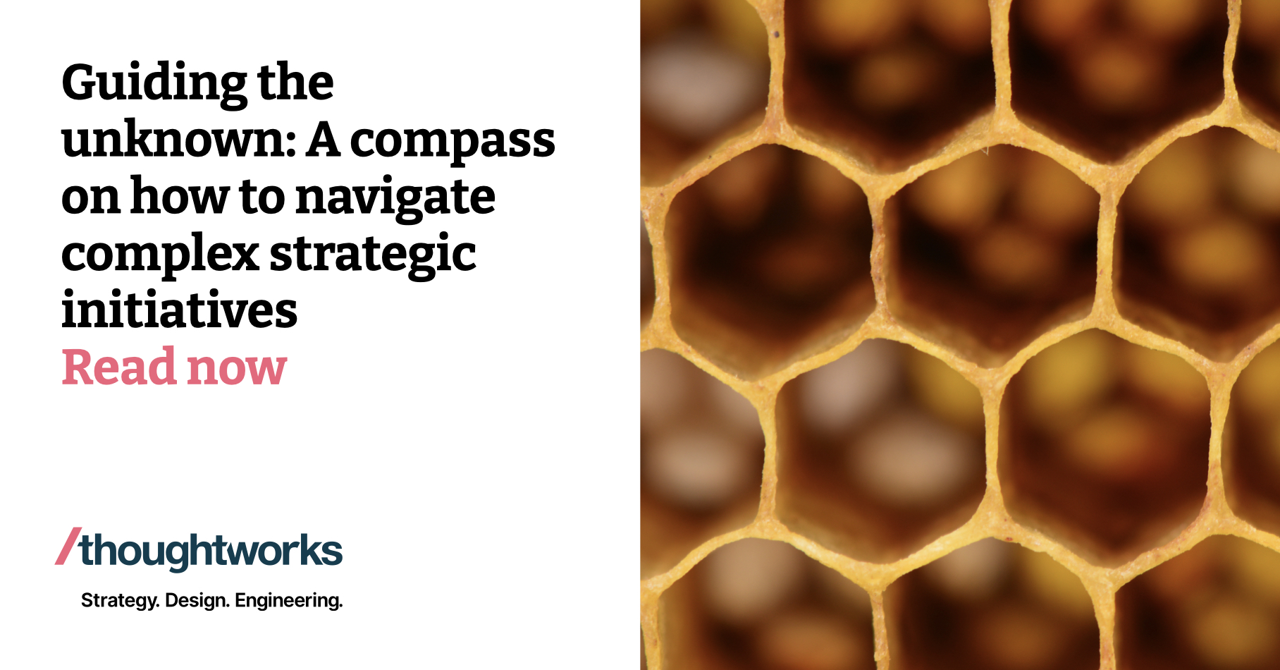 Guiding the unknown: A compass on how to navigate complex strategic initiatives | Thoughtworks ...