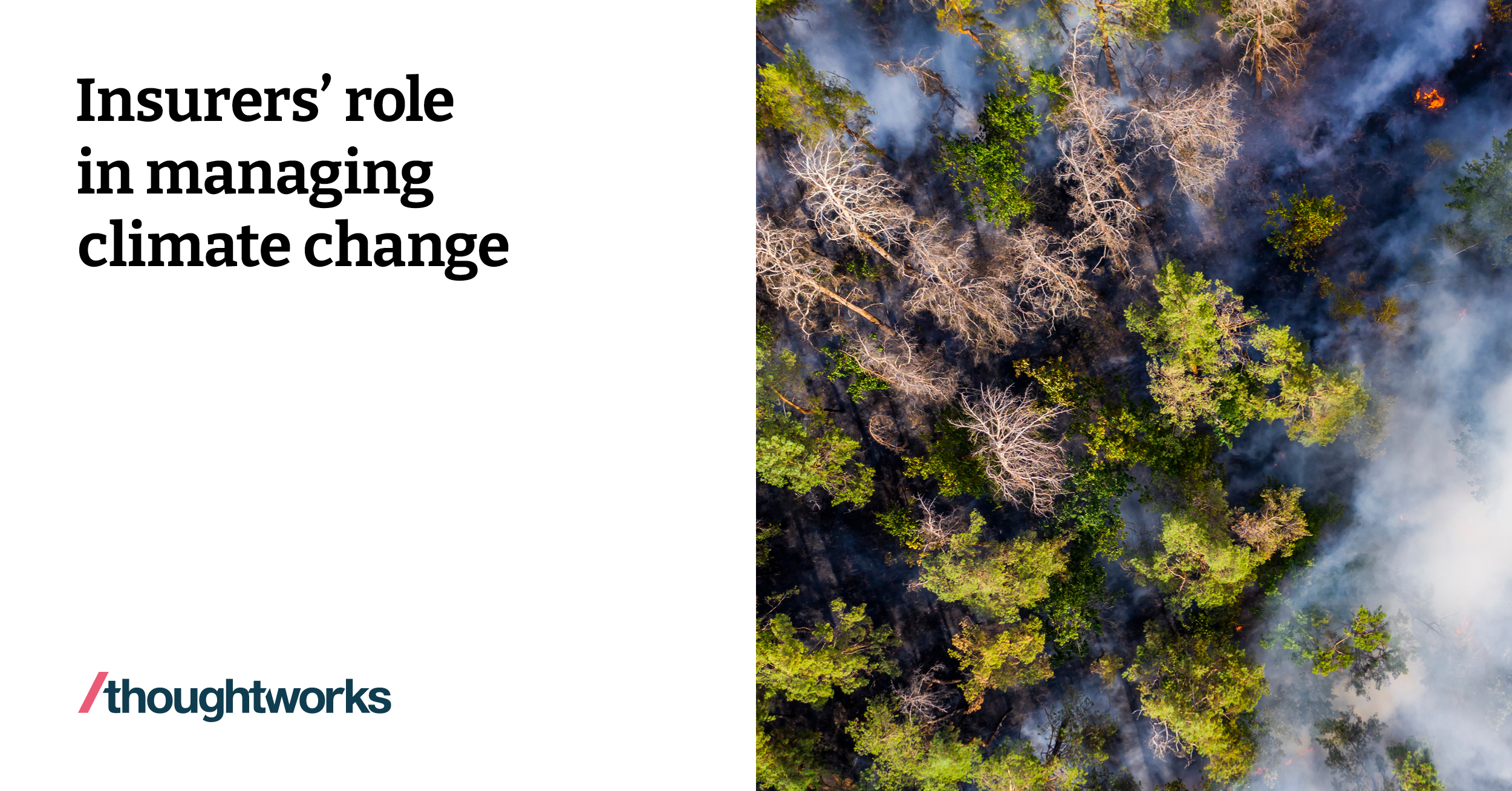 Insurers’ role in managing climate change | Thoughtworks