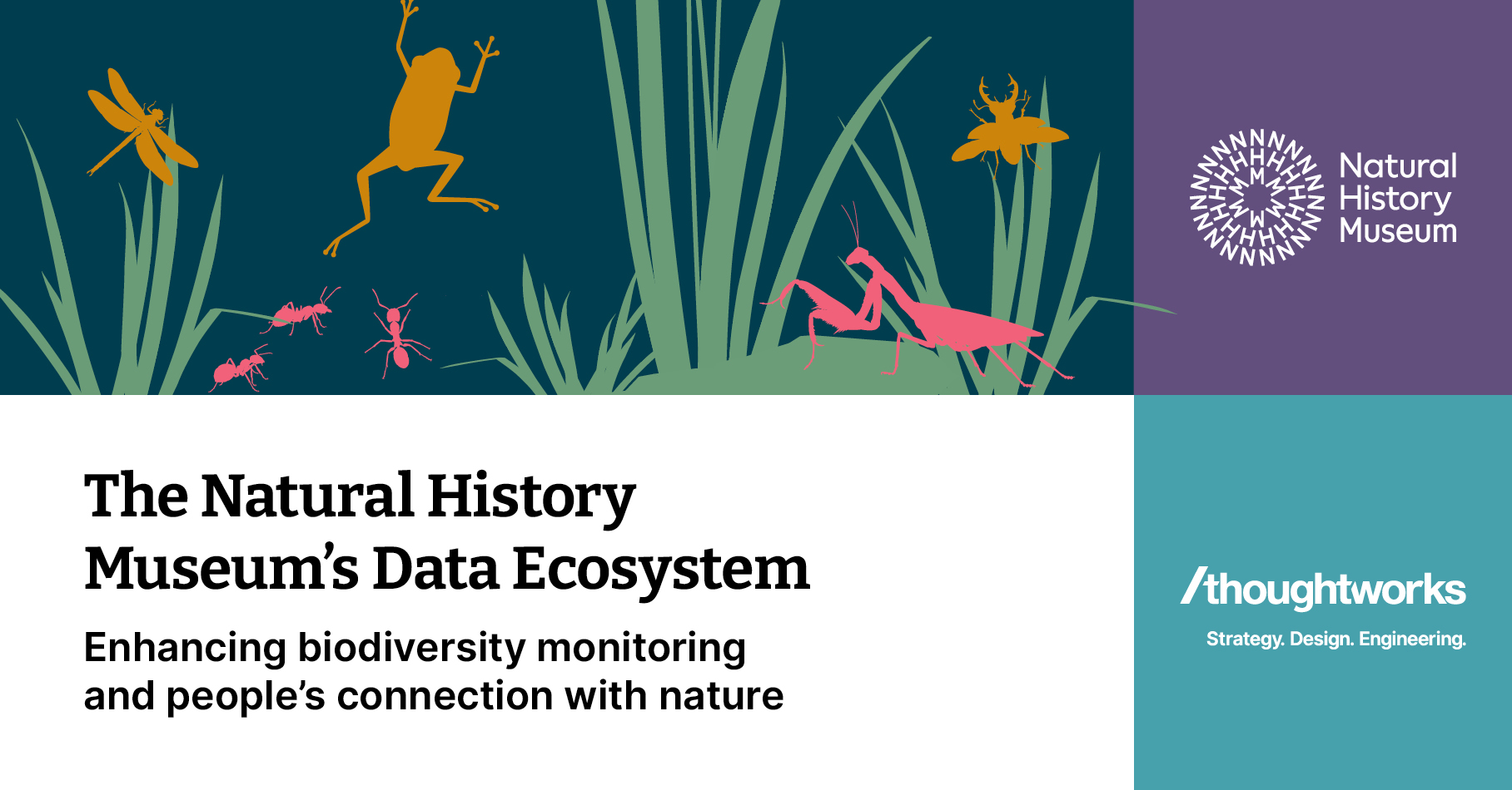 Enhancing biodiversity monitoring and people’s connection with nature ...