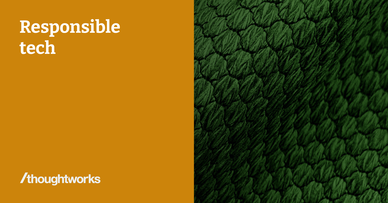 Responsible Tech Insights | Thoughtworks